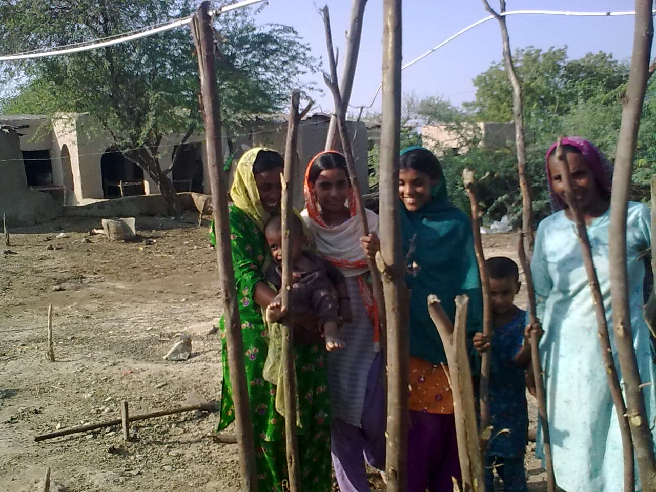 Life in rural area of Sindh Pakistan: Tree plantation in rural areas